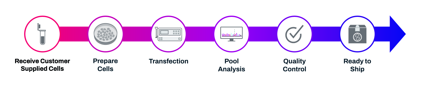 CRISPR-edited Fibroblasts | EditCo