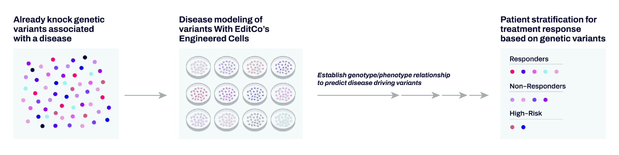 EditCo Bio | Disease Models Development