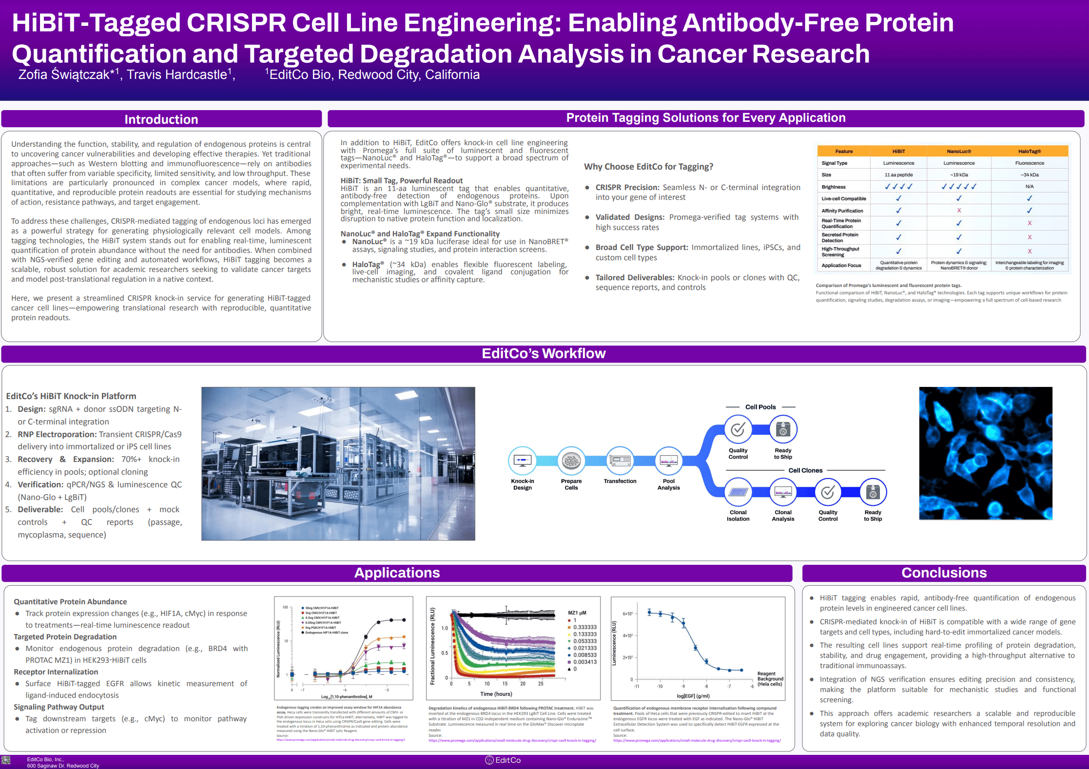 Poster: HiBiT-Tagged CRISPR Cell Line Engineering: Enabling Antibody ...