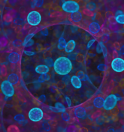 The Future of Cell Engineering | EditCo