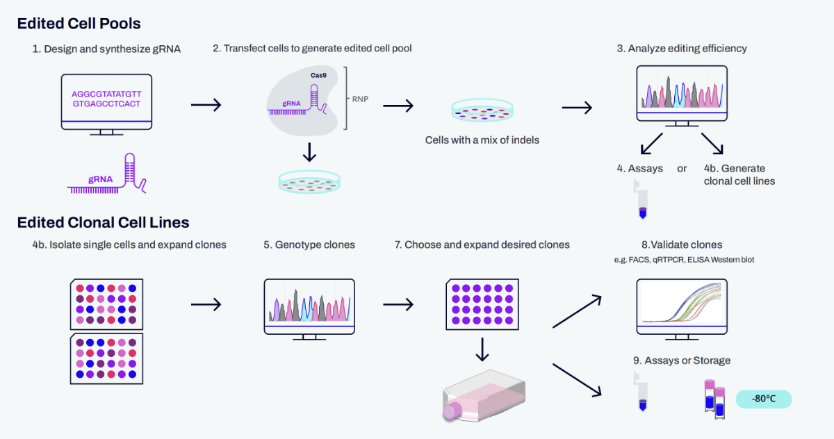 EditCo Bio | Pathway Analysis